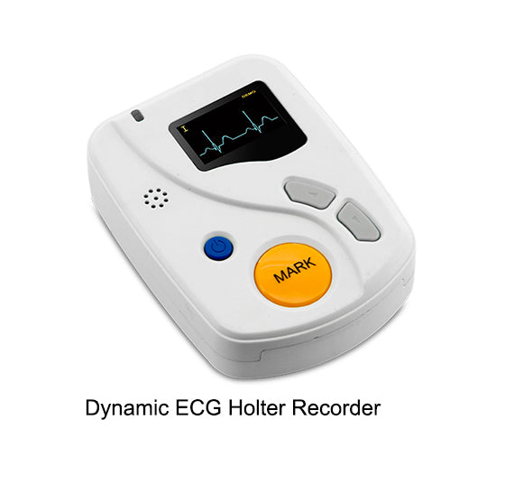 Portable 12 Lead ECG Holter Recorder – KeeboMed