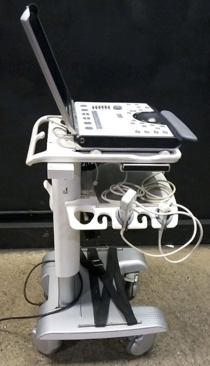 GE VIVID Q PORTABLE ULTRASOUND MACHINE WITH 1 PROBE (6TC RS) 2014 ...