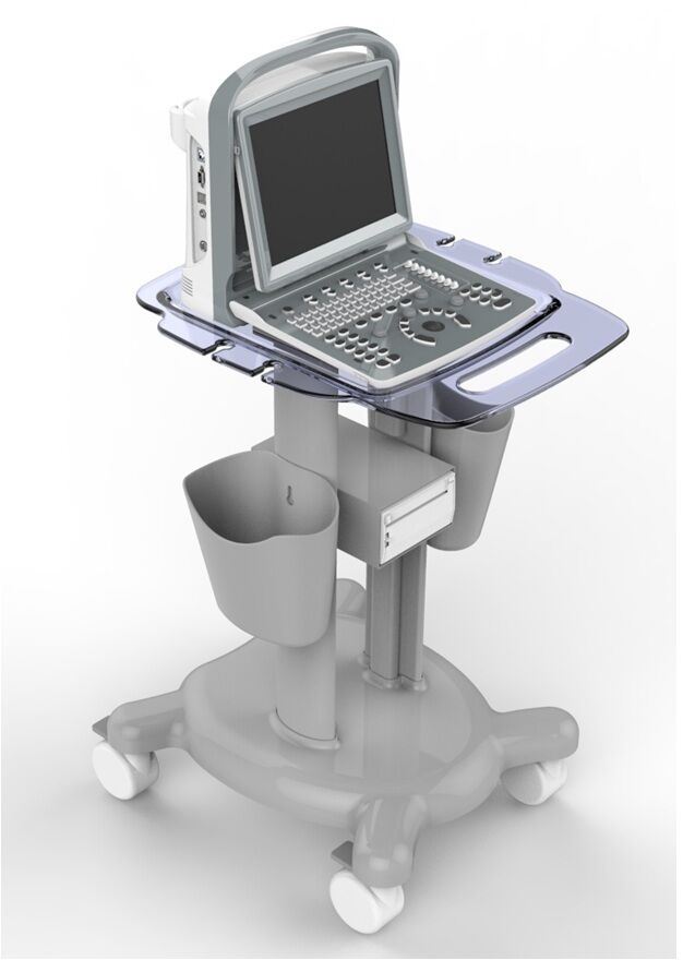 Color Doppler Vascular Ultrasound Scanner with Two Probes, Battery - C ...