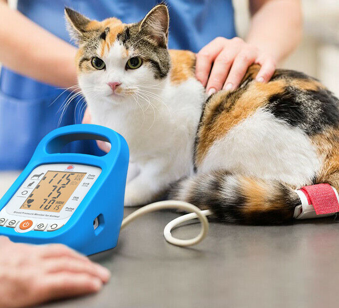 Accurate and Reliable Veterinary Pet Blood Pressure Monitor Sphygmoman ...