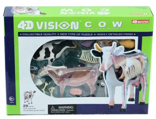 4D Master Cow Anatomy Model Assembly Internal Organ Bone, Veterinary T ...