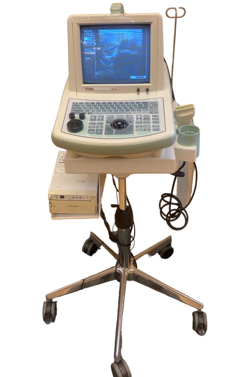 BIOSOUND ESAOTE AQUILA ULTRASOUND MACHINE WITH 1 PROBE L40 – KeeboMed